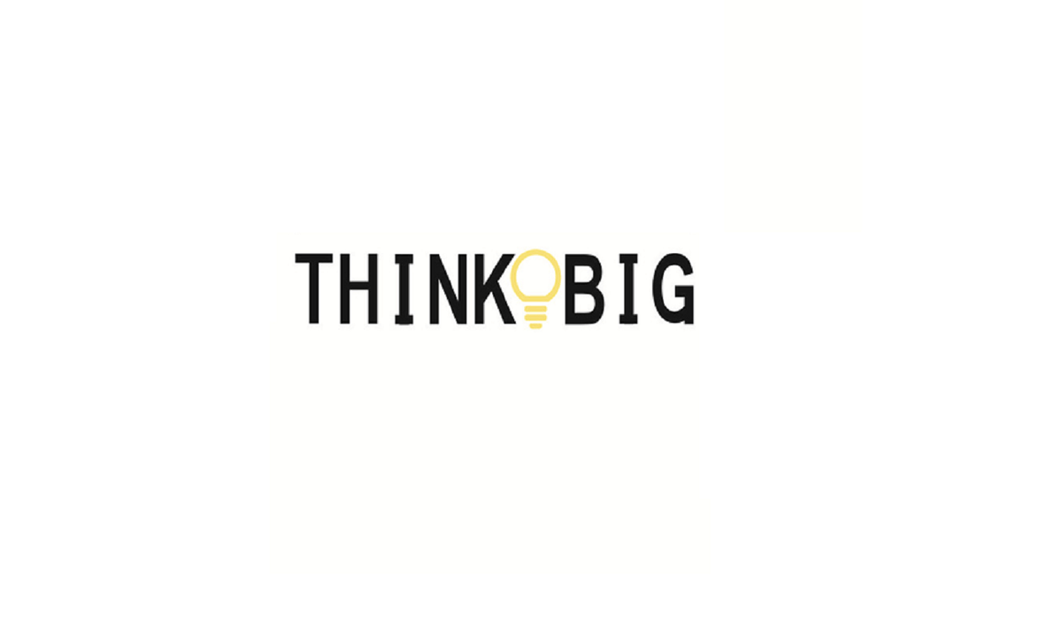 THINK BIG Quotes Vinyl Quotes Wall Stickers – sparklingselections